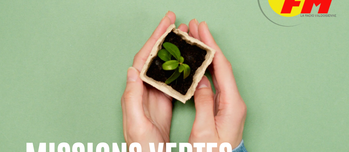 Grille des programmes - IDFM Radio